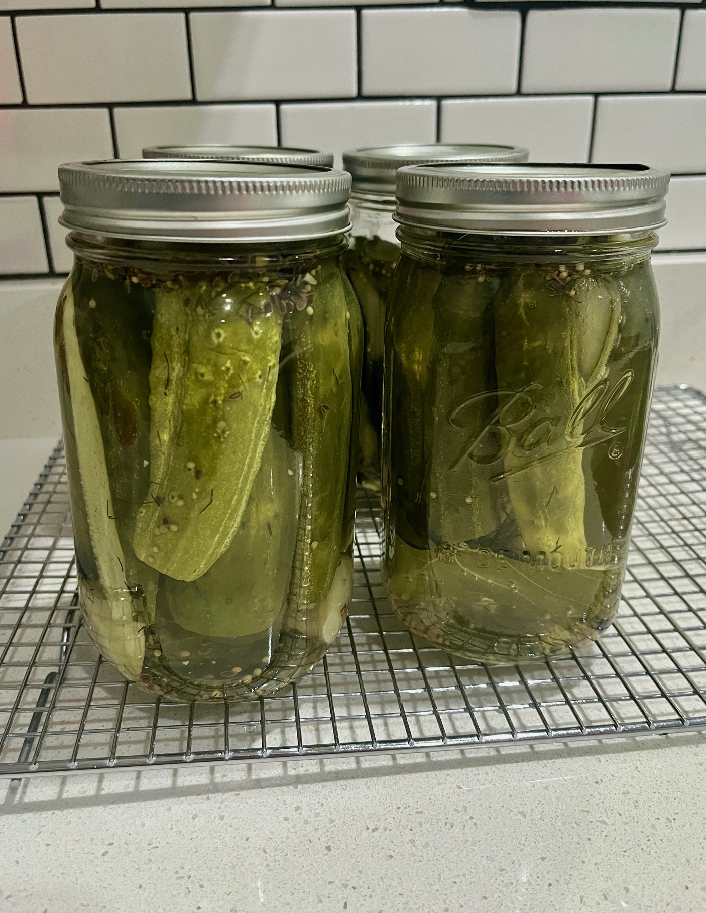 Garlic Dill Pickles – mamatcountryliving